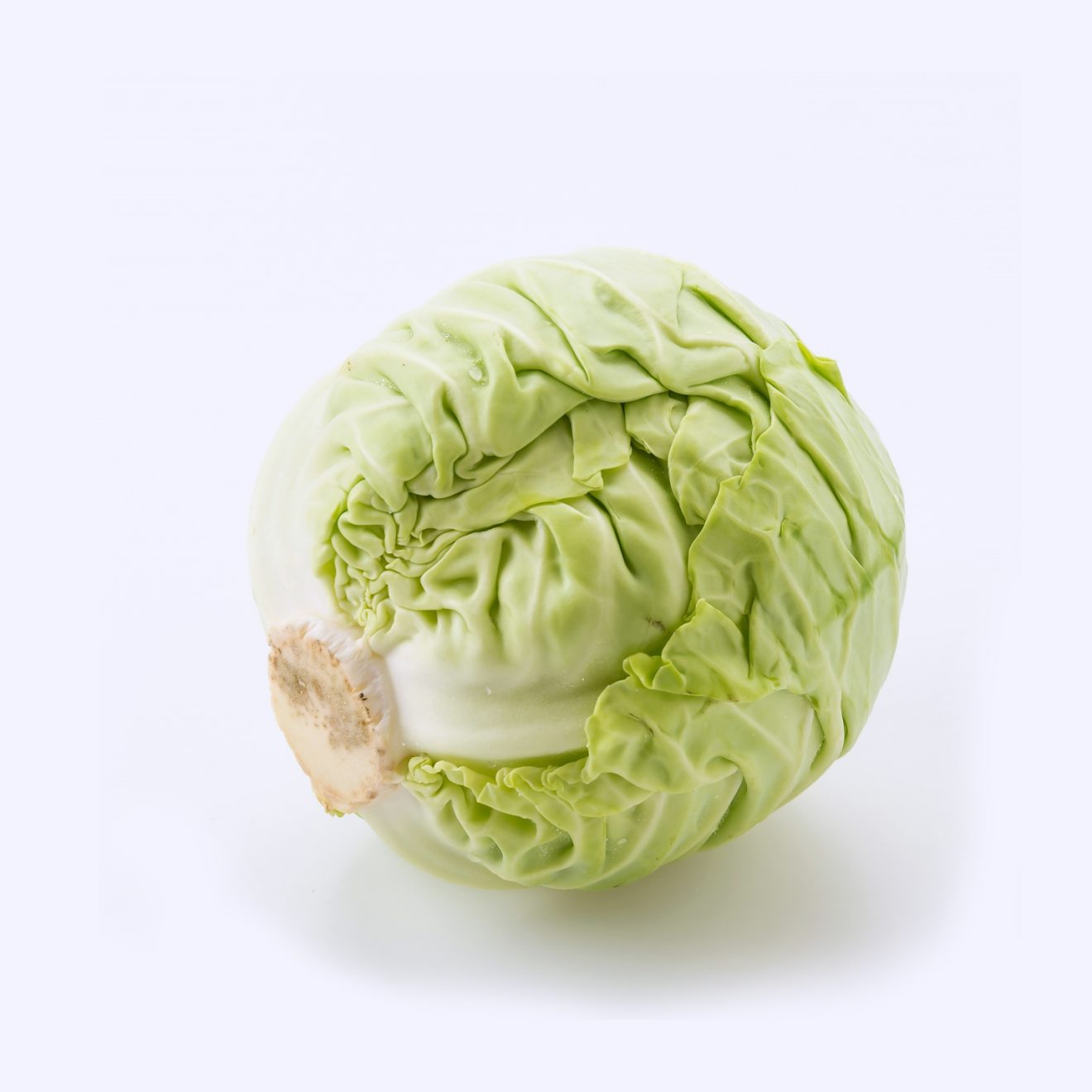 Cabbage White - 5 Kg — Martking