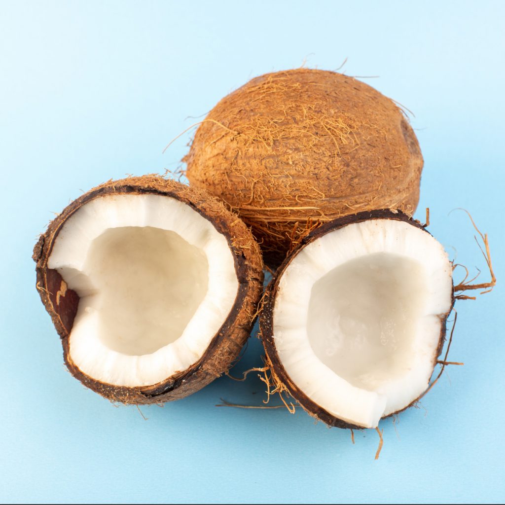 Coconut — Martking