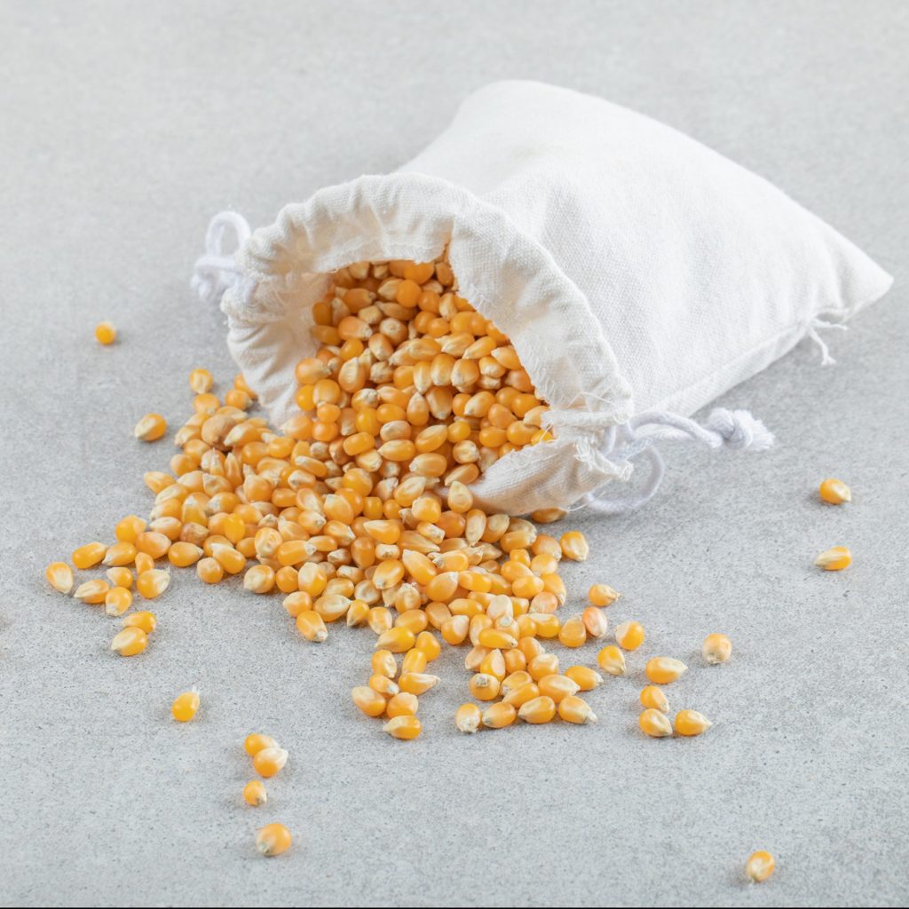 Coconut — Martking